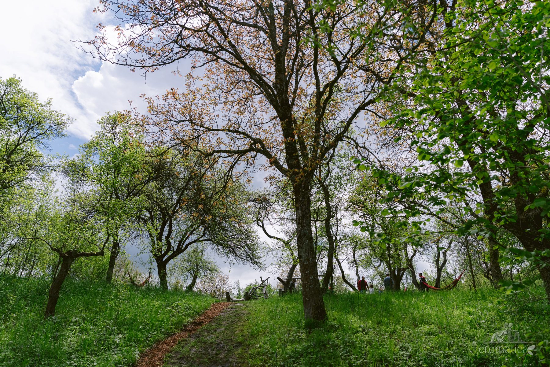 Anna {Botez la Viscri 125} - Cromatica Photography